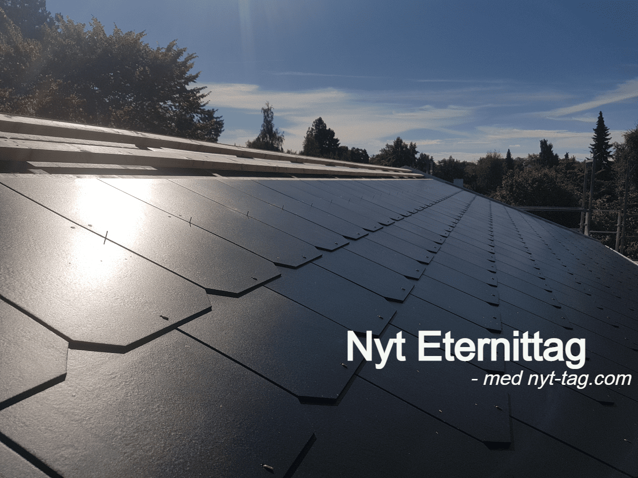 Nyt tag m2-priser og prisberegner alle tagtyper 2025