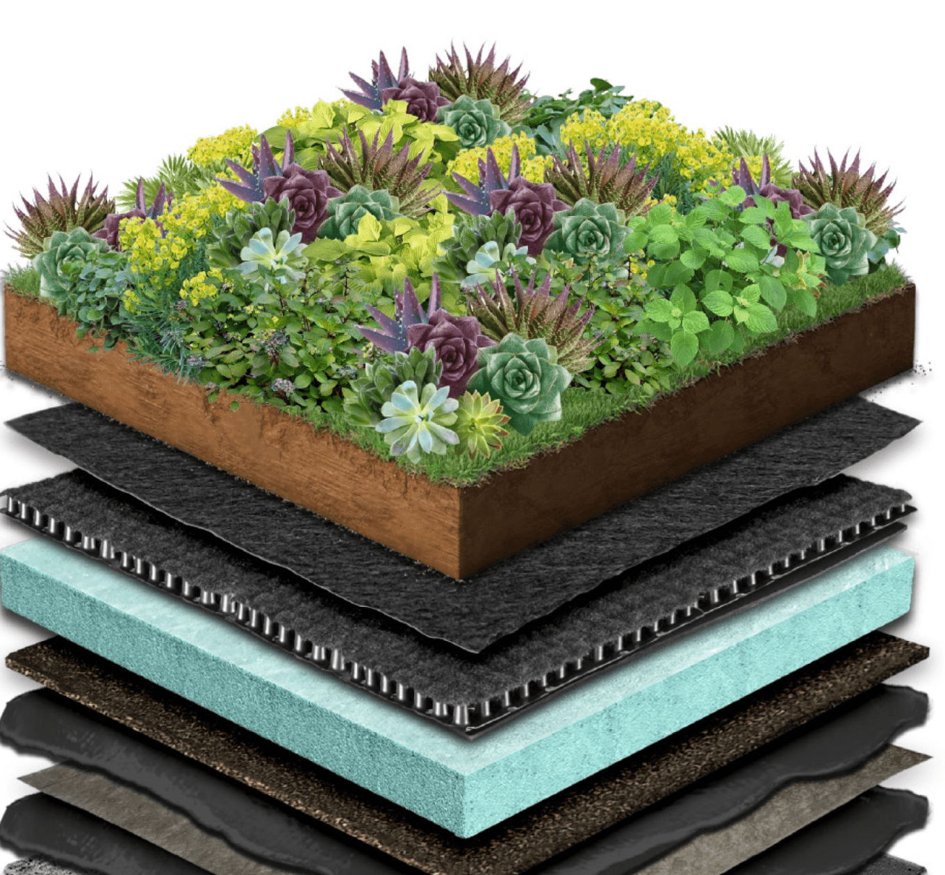 Sedumtag: Hvad koster det? - Priser og Tips om grønne tage